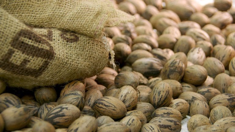 Good Food Partners: Premium Pecans from Northern NSW - Good Food Partners